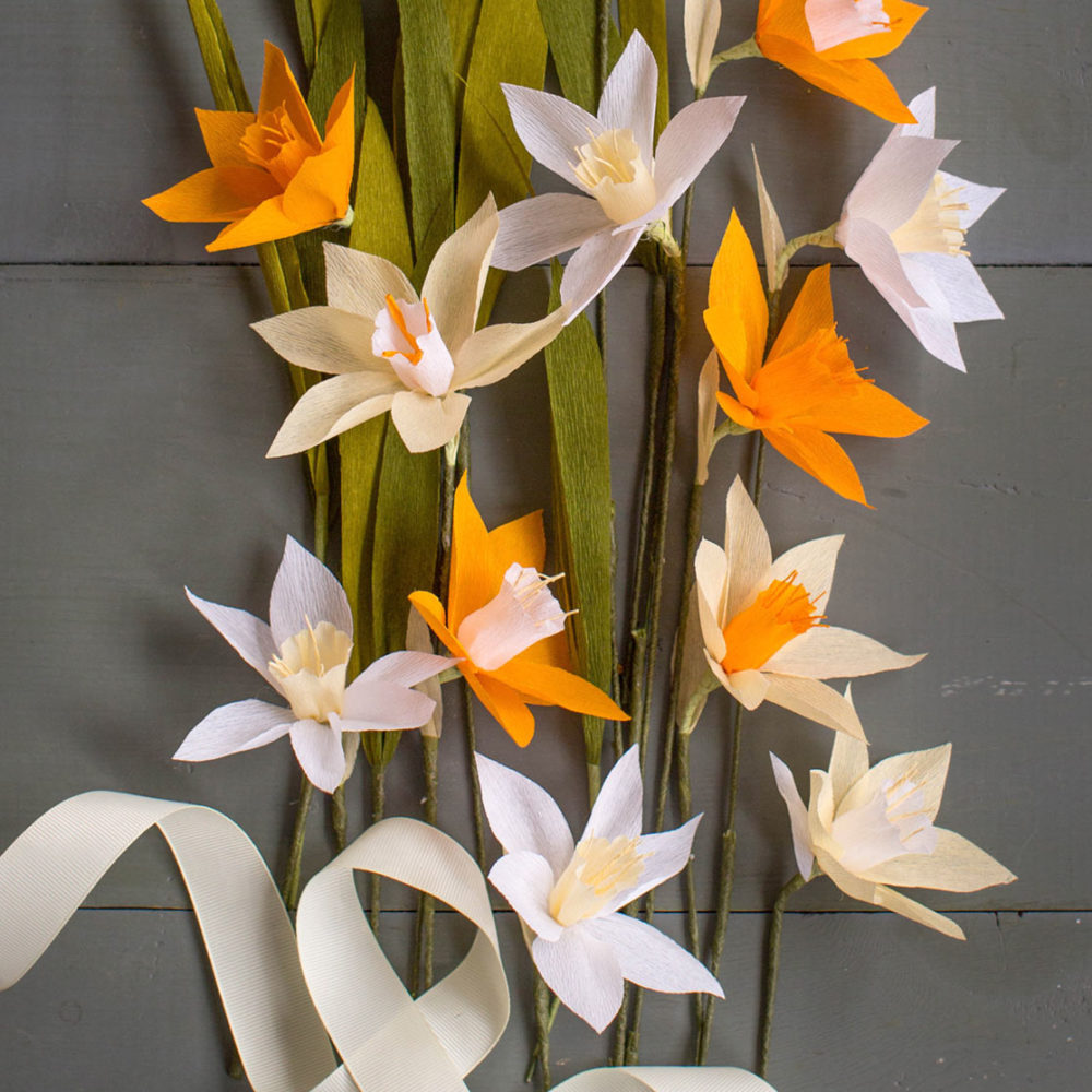 paper-daffodils-crepe-paper-flower-kit-by-lia-griffith