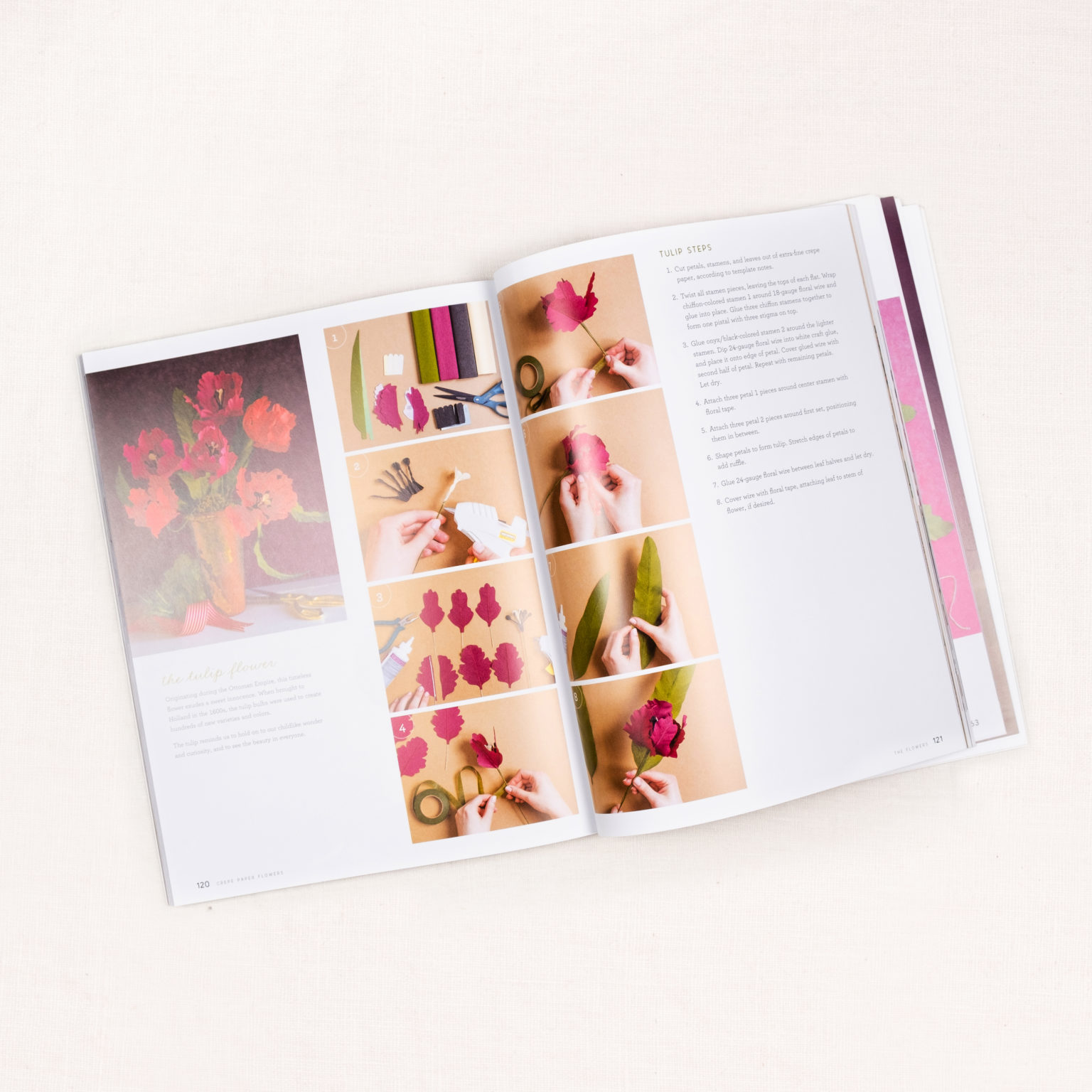 Crepe Paper Flowers Book Lia Griffith - Felt Paper Scissors