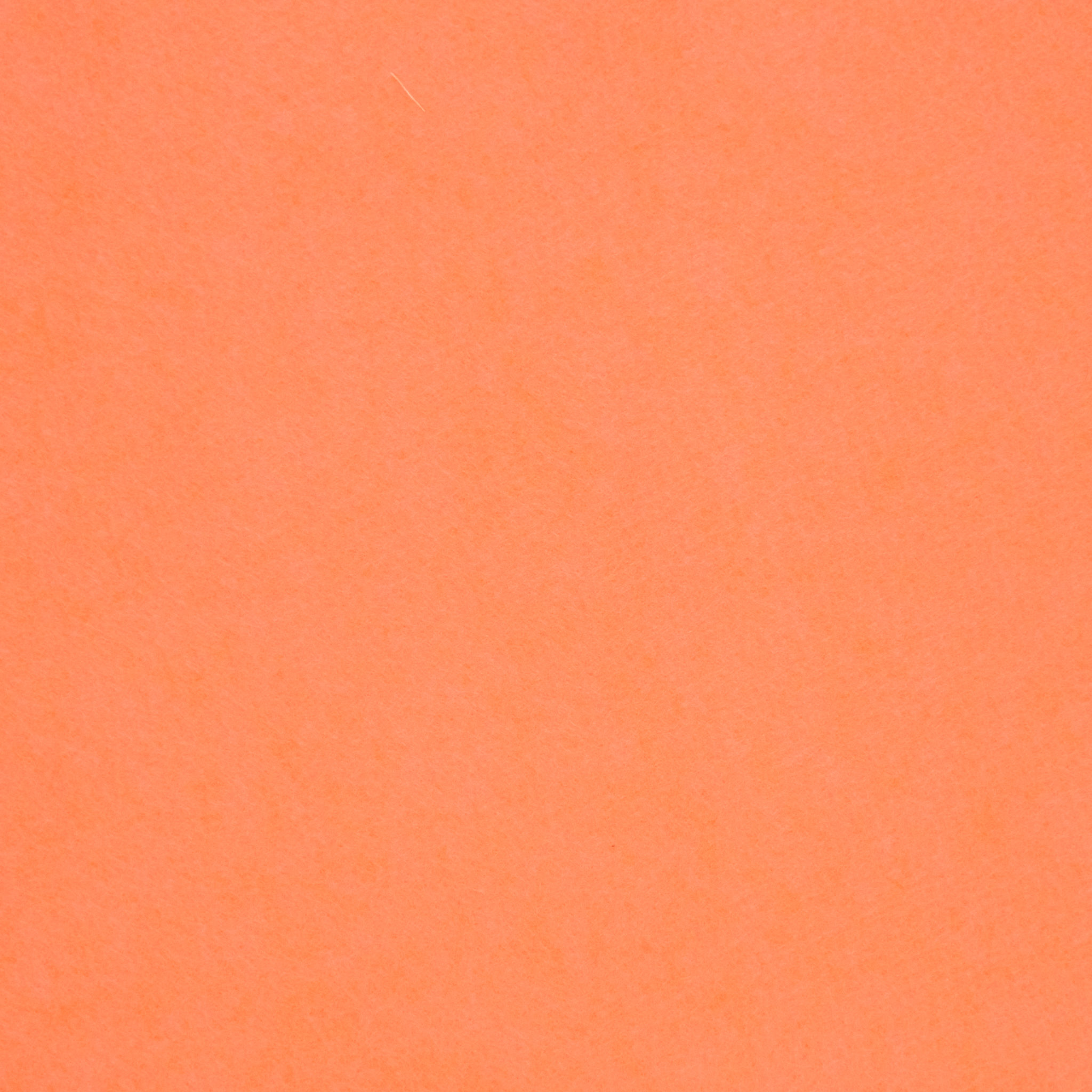 Cotton color felt - Felt Paper Scissors Shop by Lia Griffith