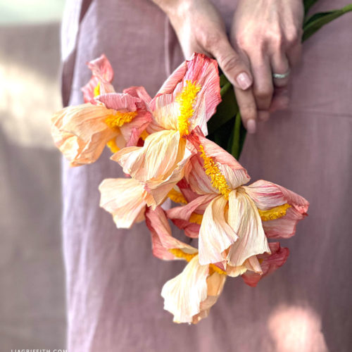 Crepe Paper Bearded Iris Commercial Use Pattern - Felt Paper Scissors