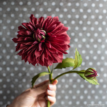 Crepe Paper Rip City Dahlia Commercial Use Pattern - Felt Paper Scissors