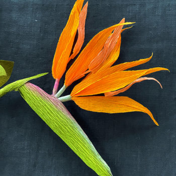 Crepe Paper Bird of Paradise Commercial Use Pattern - Felt Paper Scissors