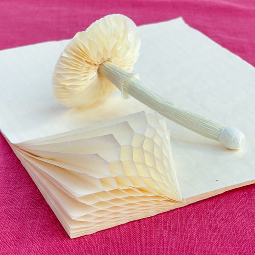 Honeycomb paper - Cream - Felt Paper Scissors by Lia Griffith