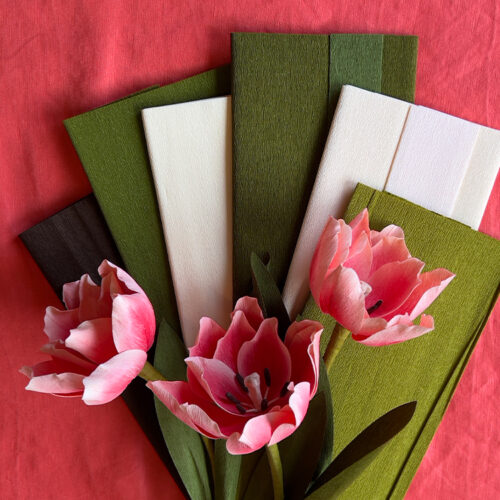 Crepe Paper Double Tulips - Member Make Bundle - Felt Paper Scissors Crepe Paper Double Tulips - Member Make Bundle - Felt Paper Scissors