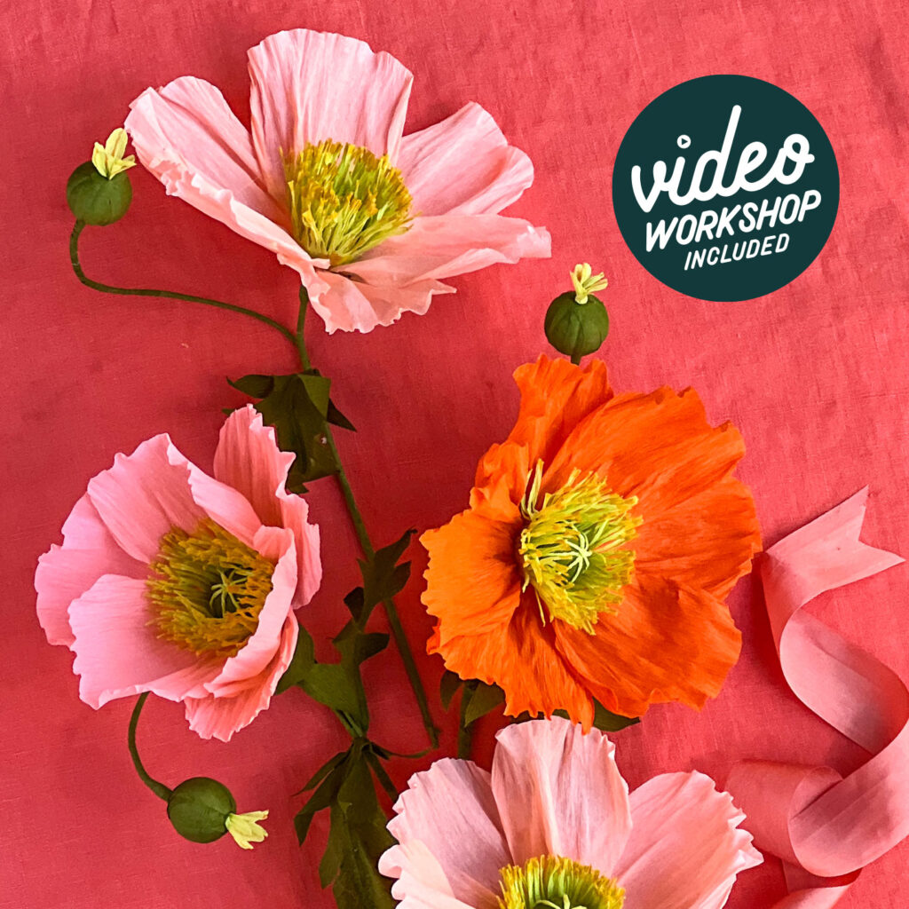 Crepe Paper Poppy Flower Kit: DIY Paper Flowers at Their Finest