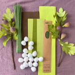 Crepe Paper Fig Branch - Member Make Workshop - Felt Paper Scissors